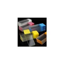 Beveled Edge Diamond™ White Glass Microscope Slides, Color Frosted ...